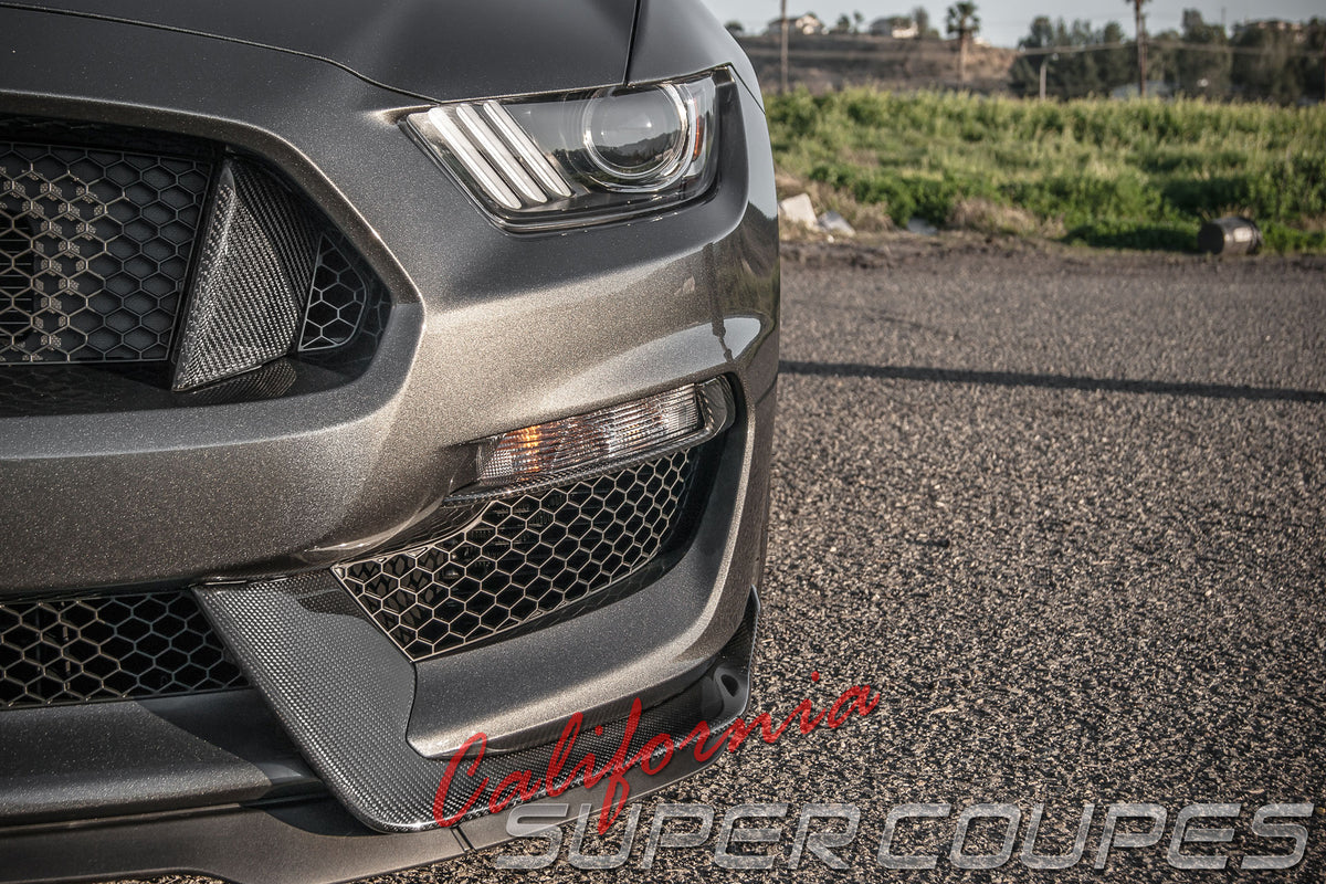GT350 Front bumper panels Carbon Fiber Ford Mustang 2015-2018 ...